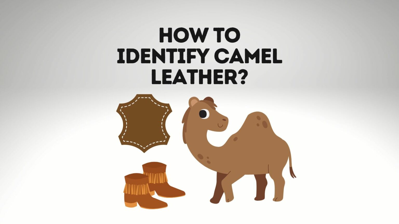 How Fast Can A Camel Run? [Camel Locomotion Guide] - LLama Web