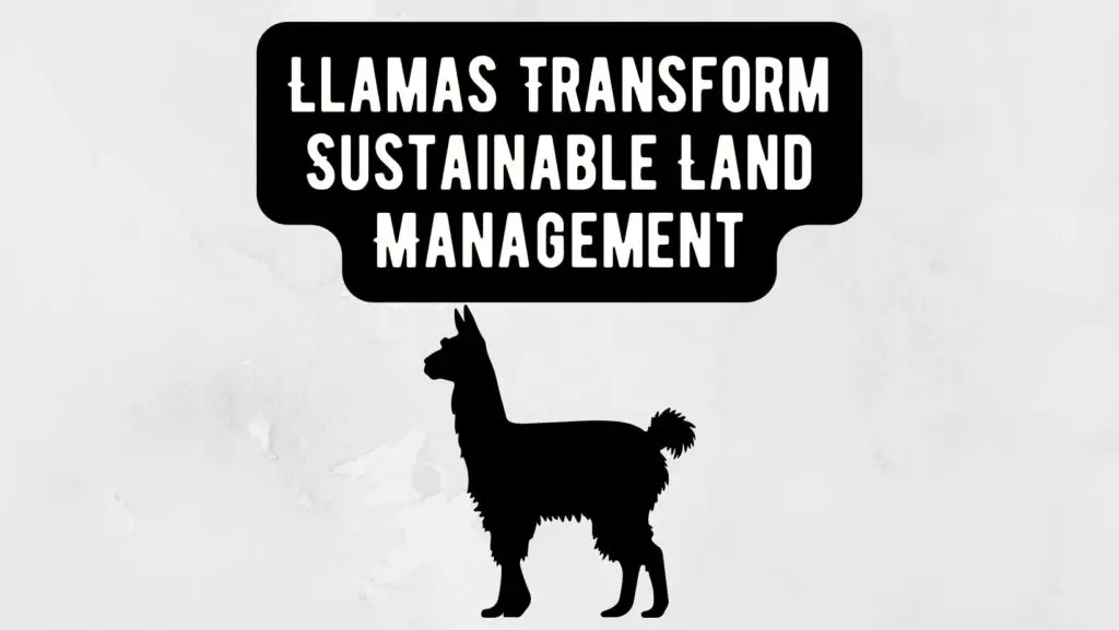 Evolutionary Link: Exploring How Llamas and Camels Are Related - LLama Web
