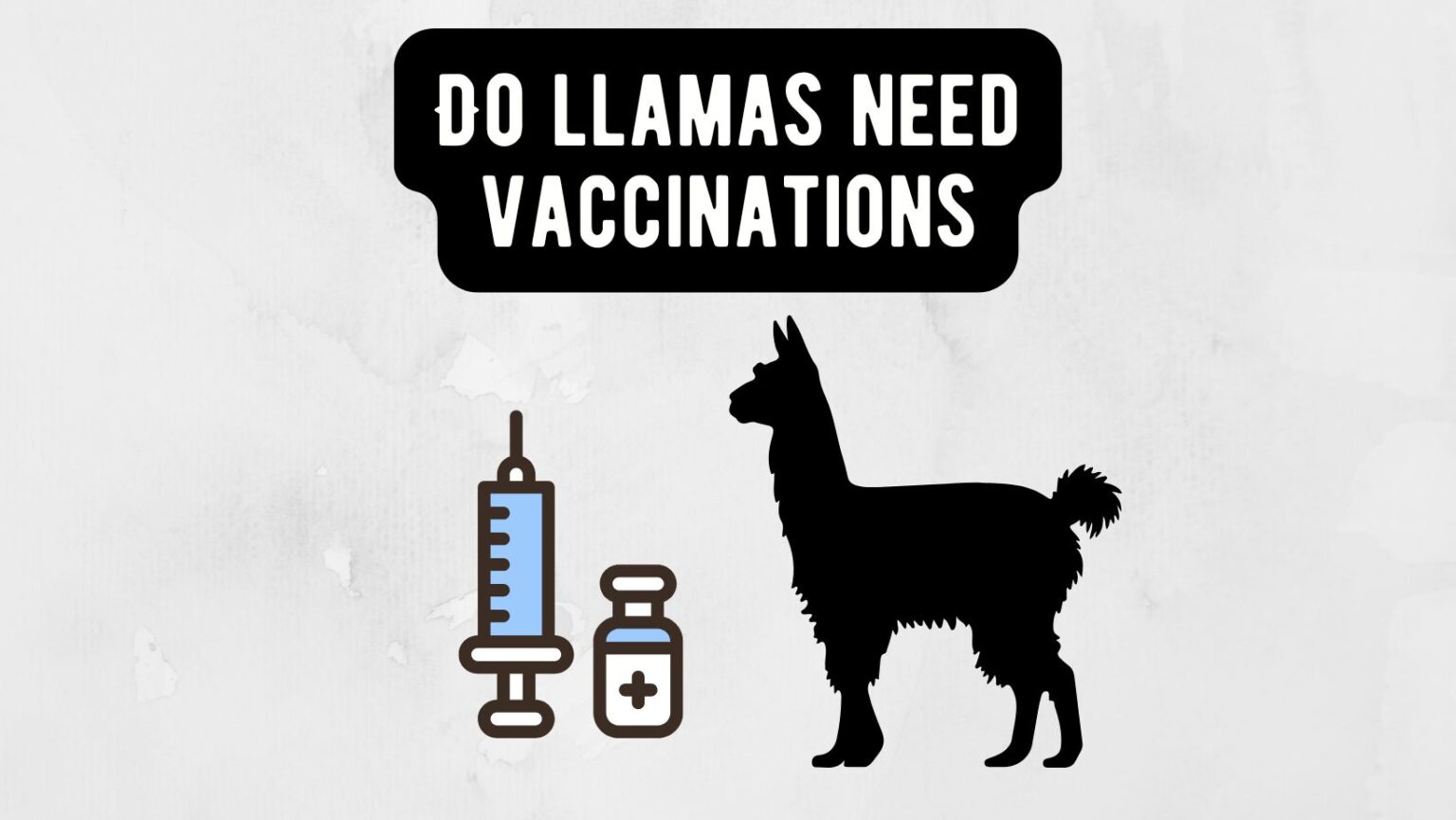 Are Llamas Reliable Guard Animals for Farms and Sanctuaries? - LLama Web