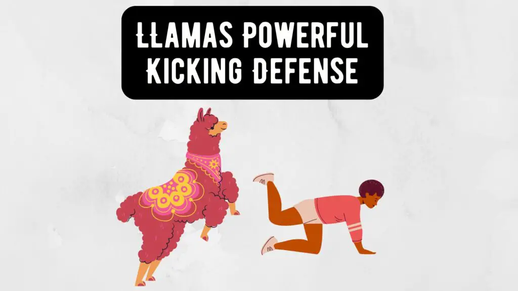 Evolutionary Link: Exploring How Llamas and Camels Are Related - LLama Web