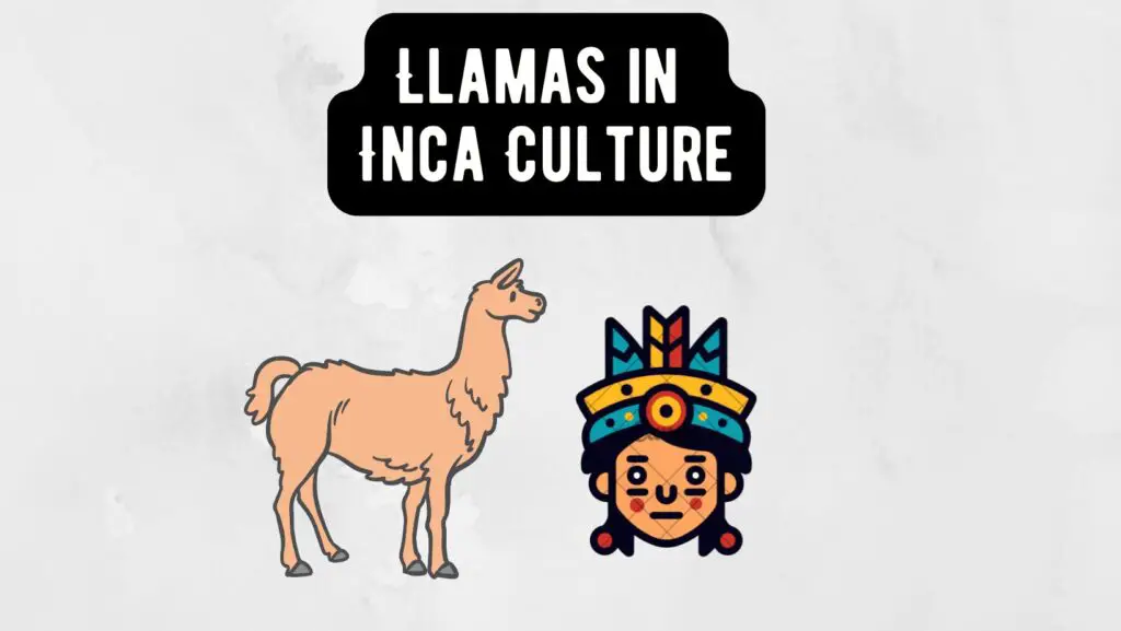 Unveiling the Sacred History of llamas in South America - LLama Web