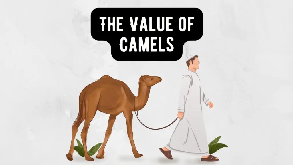 Camel, The "Ship of the Desert" Why Are They So Called? - LLama Web