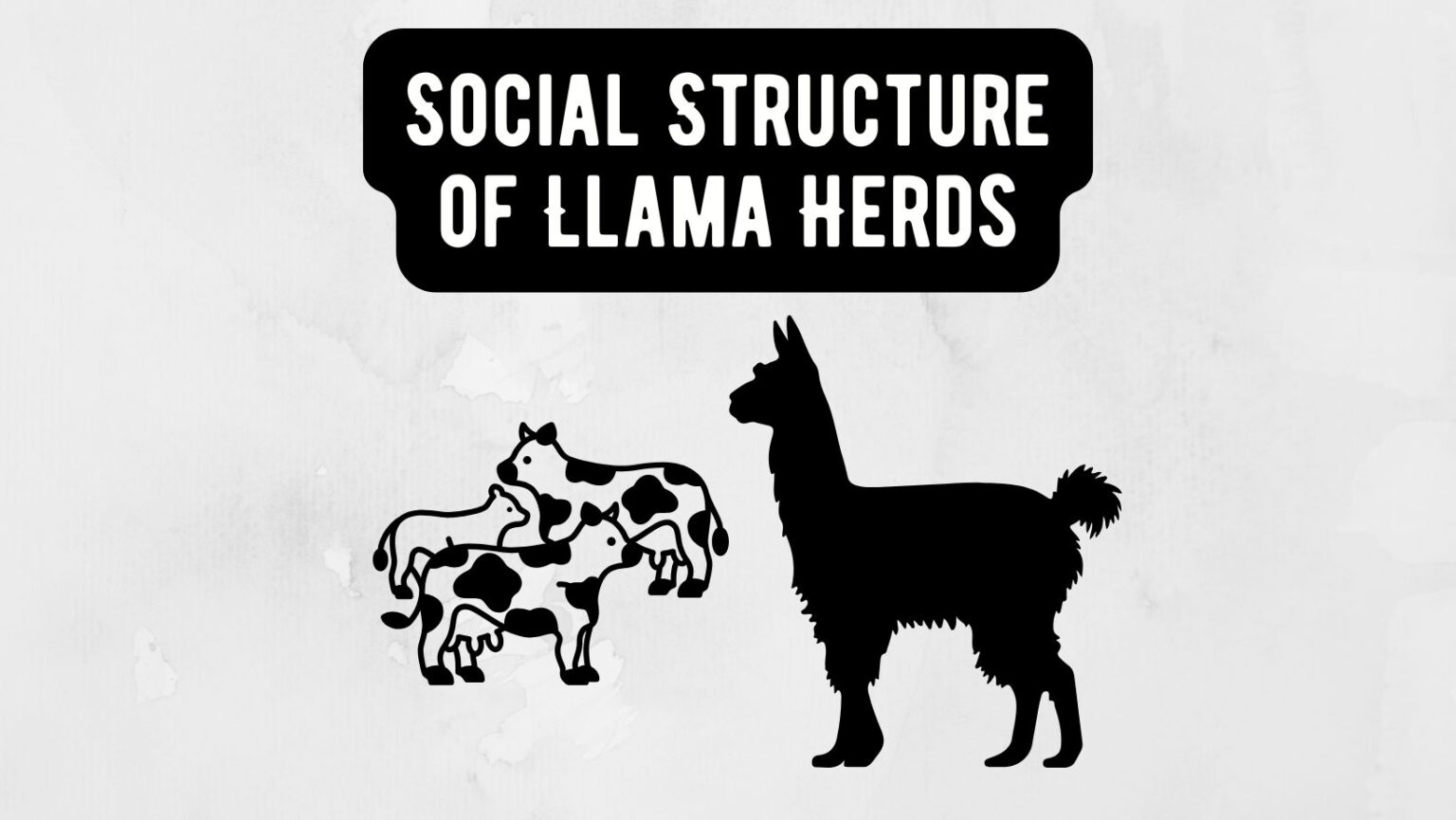 Evolutionary Link: Exploring How Llamas and Camels Are Related - LLama Web