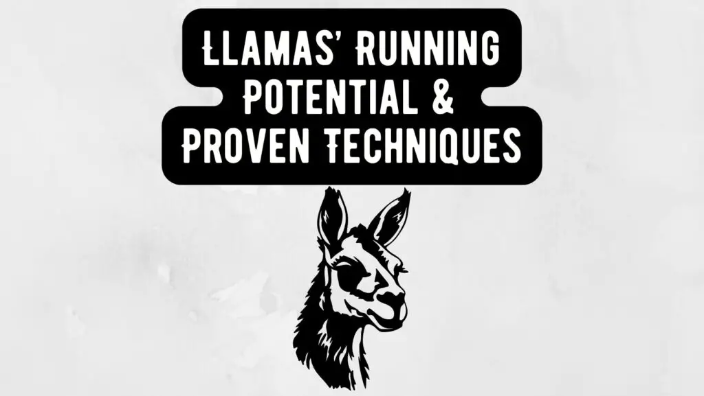 Evolutionary Link: Exploring How Llamas and Camels Are Related - LLama Web