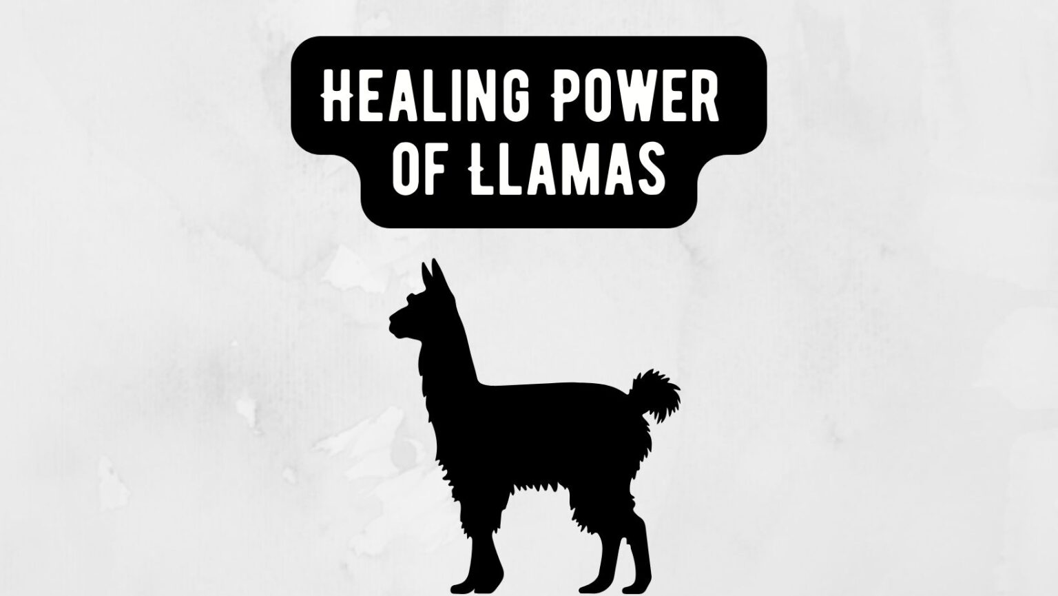 Unlocking the Healing Power of Llamas: A Guide to Llama Therapy - LLama Web